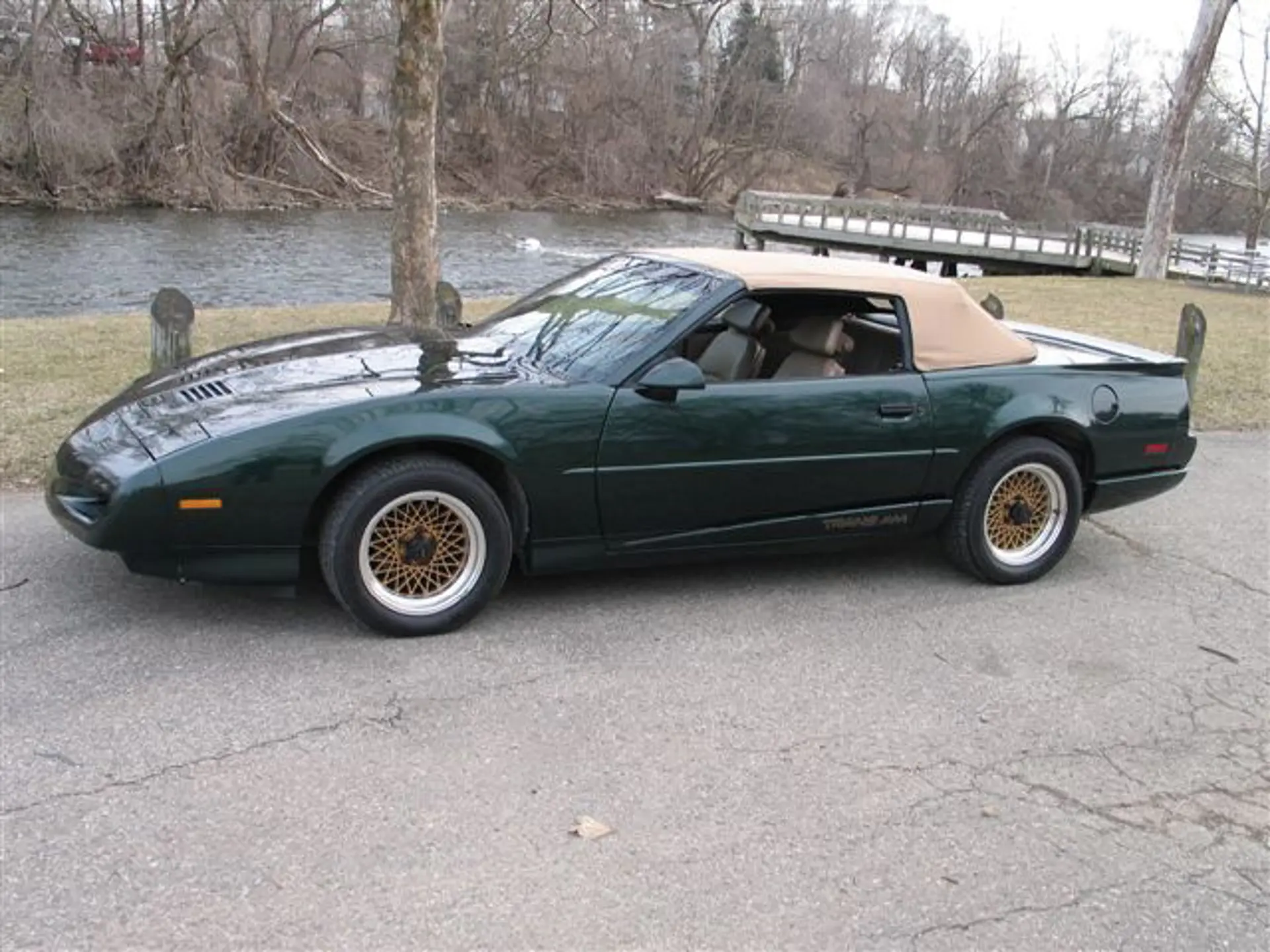 1992 Pontiac Firebird Convertible | Michigan International Spring ...