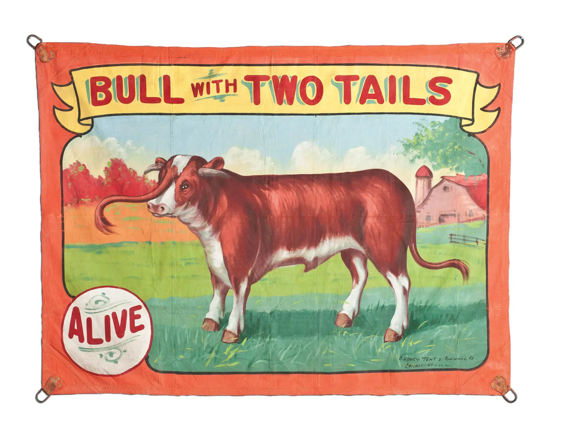 Antique Carnival Sideshow Banner "Bull with Two Tails" | The Milhous ...