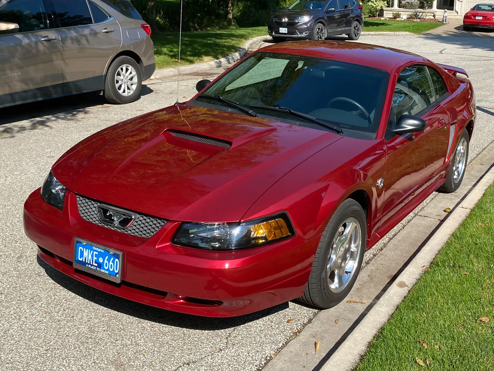 2004 Ford Mustang 40th Anniversary Coupe | Open Roads, October 2021 ...