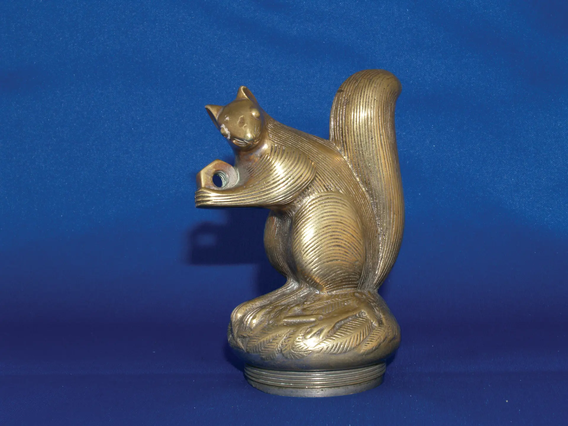 Squirrel with 'nut' sitting on branches | Vintage Motor Cars in Arizona ...