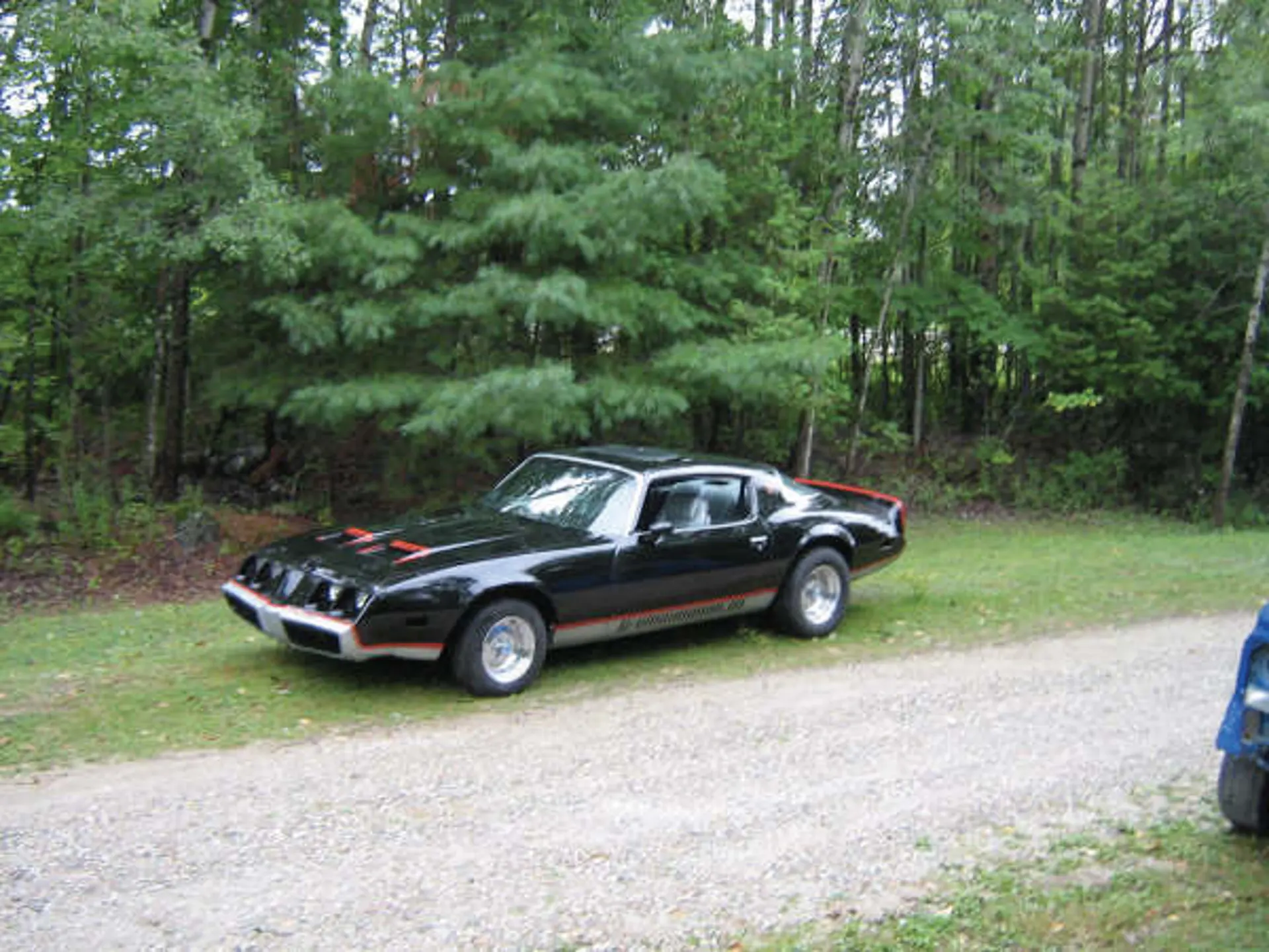 1980 Pontiac Firebird Formula Hard Top | Toronto International Fall ...
