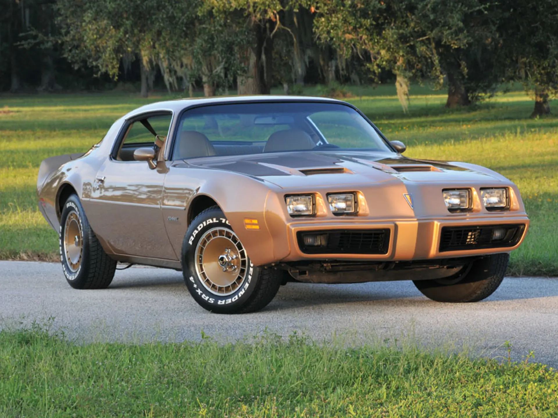 1981 Pontiac Firebird Formula | Spring Carlisle 2012 | RM Sotheby's