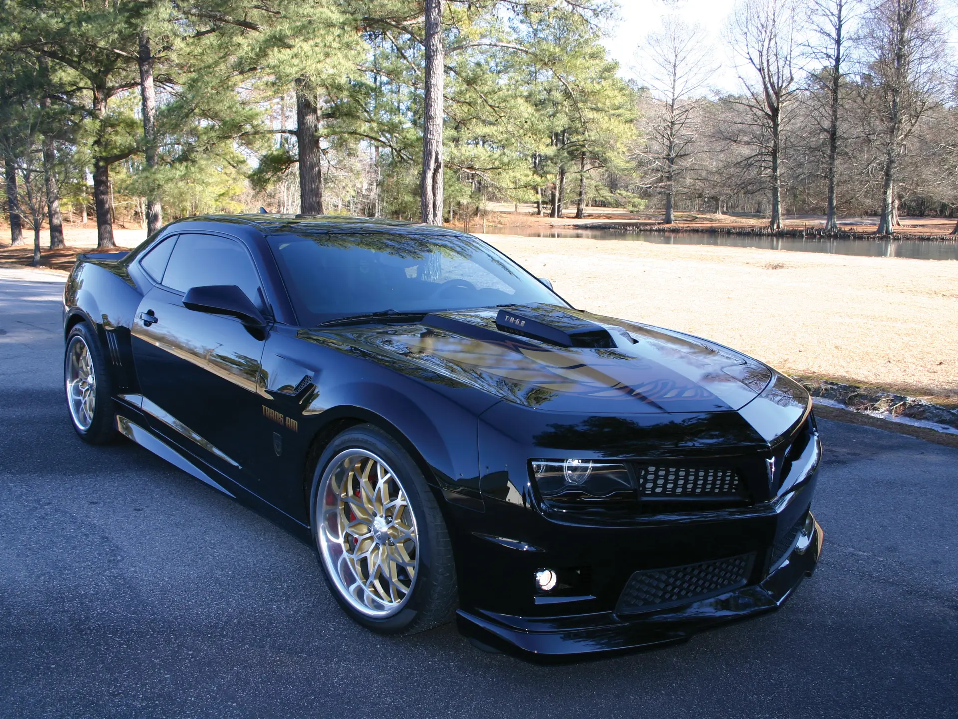 2010 Chevrolet Camaro-Trans Am Conversion | Fort Lauderdale 2011 | RM ...