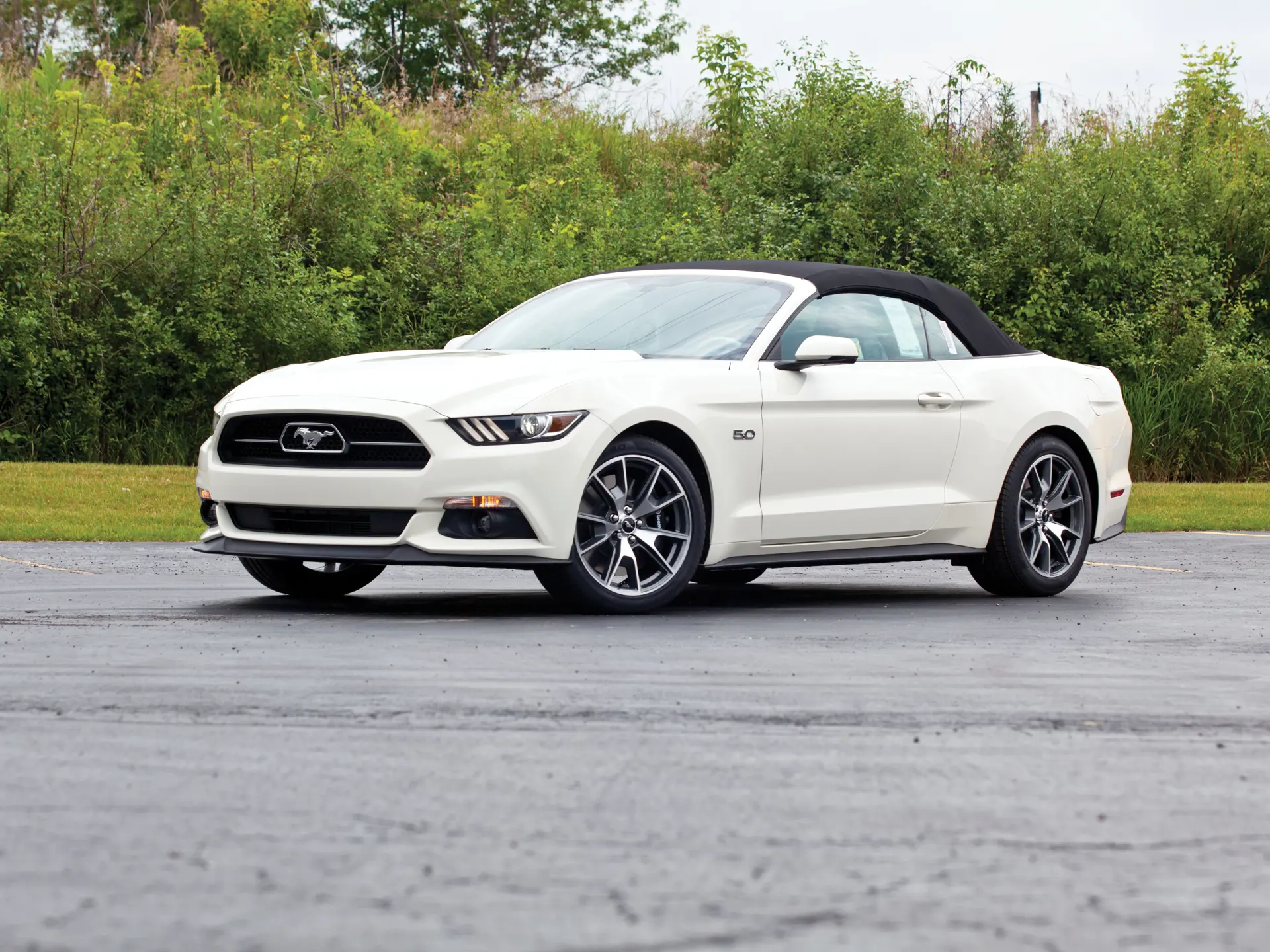 2015 Ford Mustang 50th Anniversary Edition | Auburn Fall 2015 | RM ...
