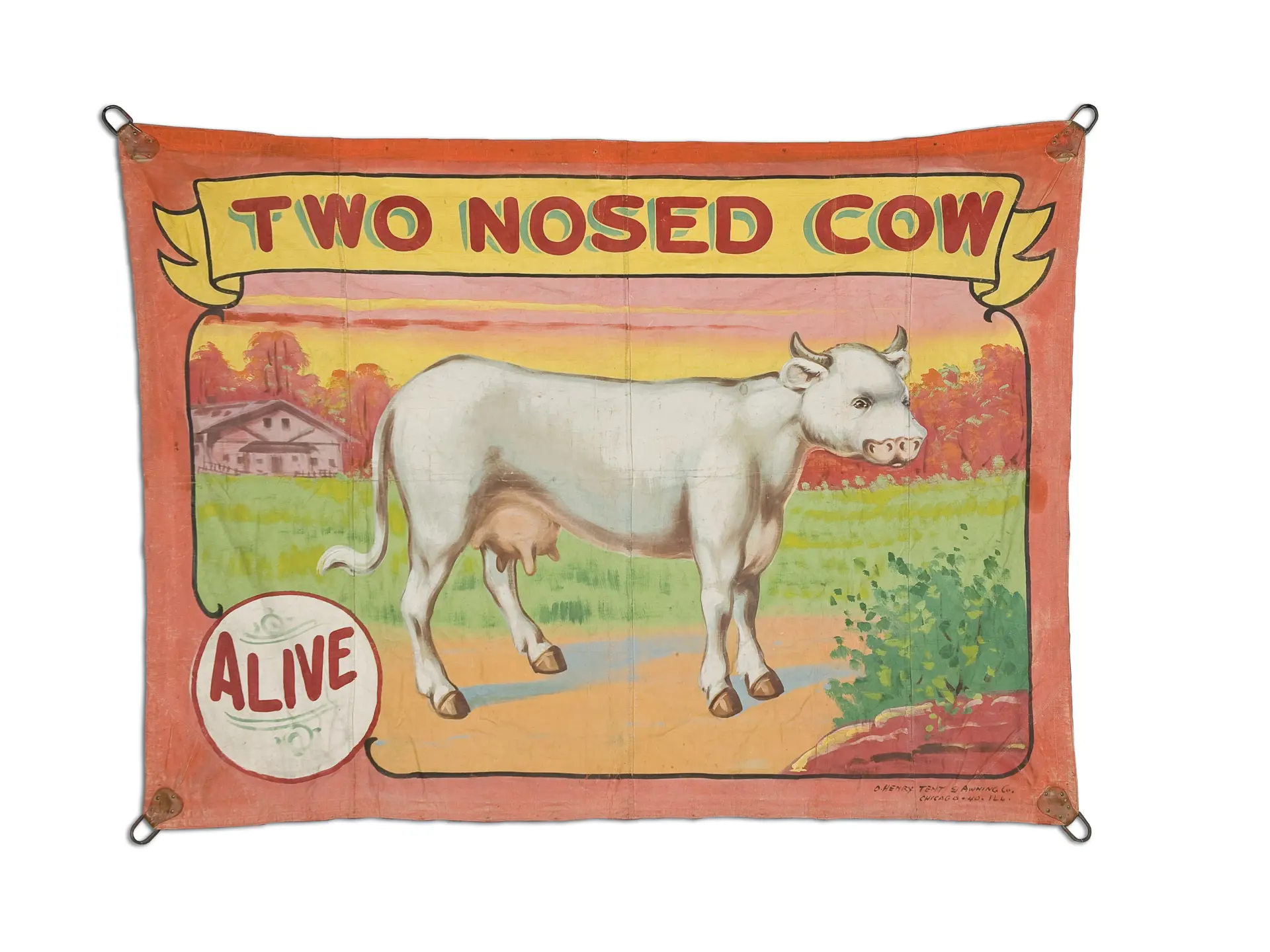 Antique Carnival Sideshow Banner "Two Nosed Cow" | The Milhous ...