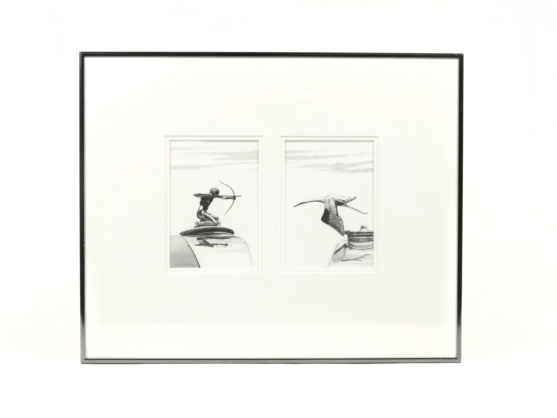 Suspended Animation - Pencil Drawing by Fran Gianfriddo | Auburn Fall ...